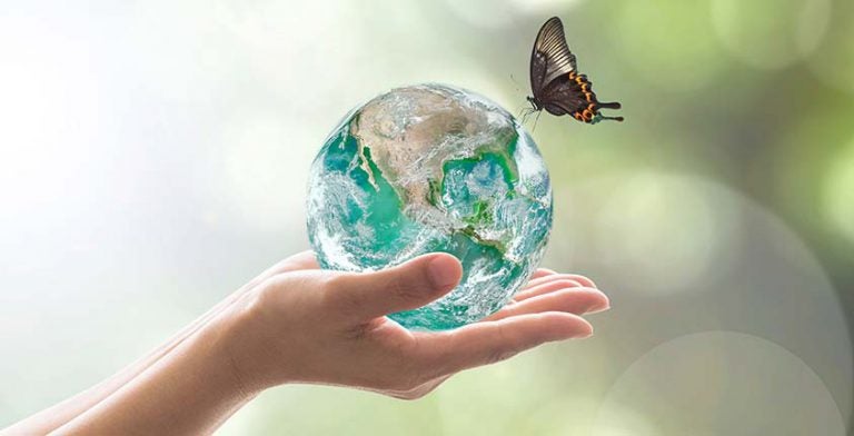 Embracing Sustainability in Your Business | GoSmallBiz.com